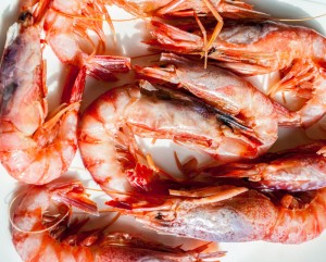 Welsh Icons News | Waste Prawn Shells go Green